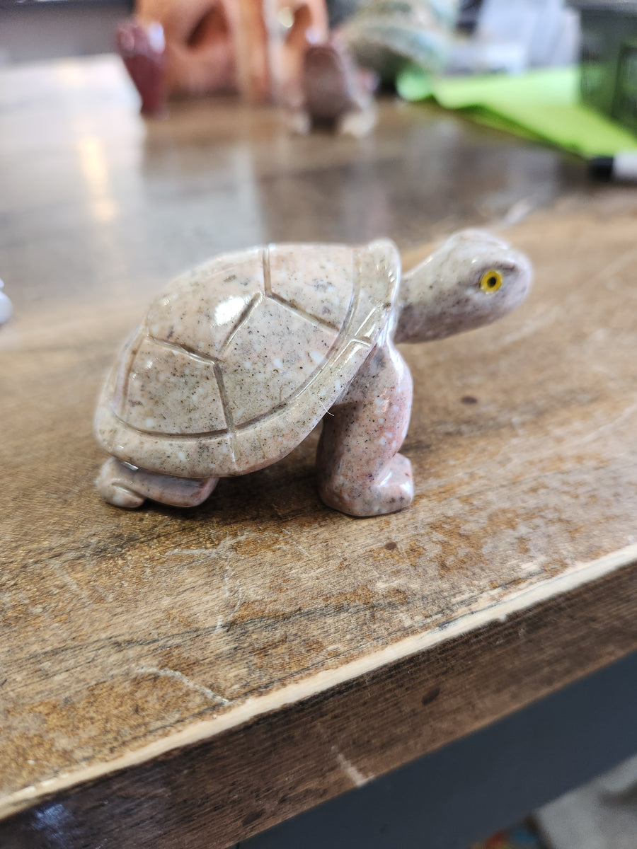 Turtle – Art Arrows